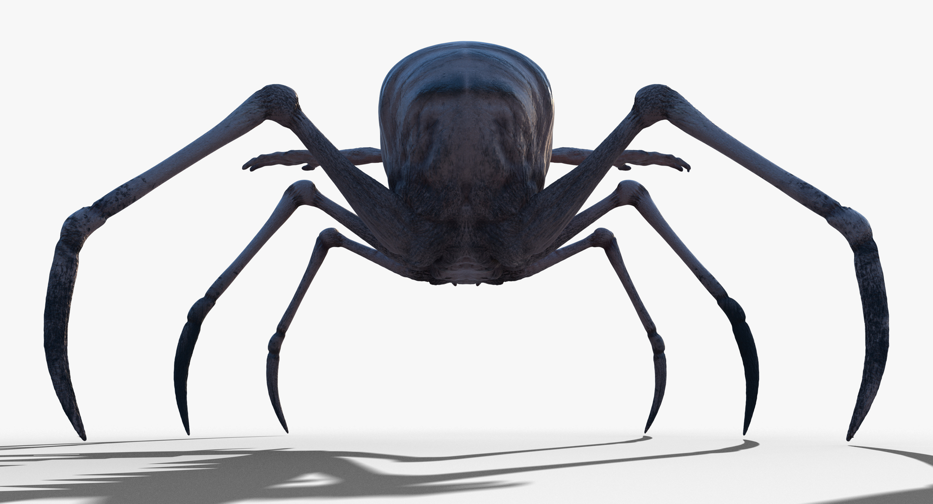 3D spider character - TurboSquid 1262620