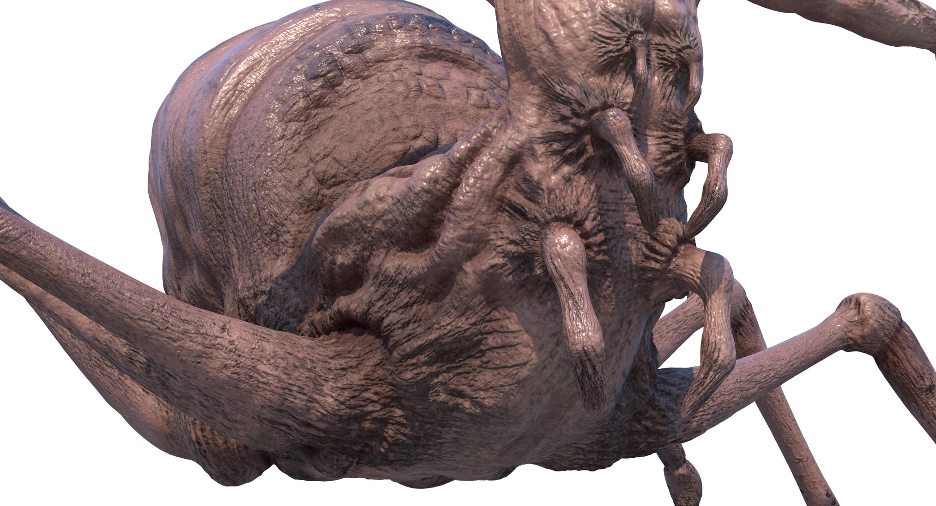 3D Spider Character - TurboSquid 1262620