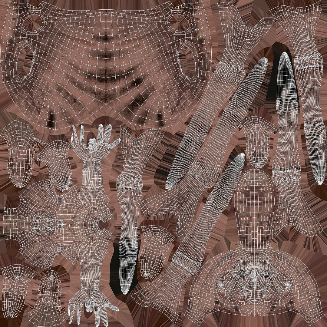 3D Spider Character - TurboSquid 1262620