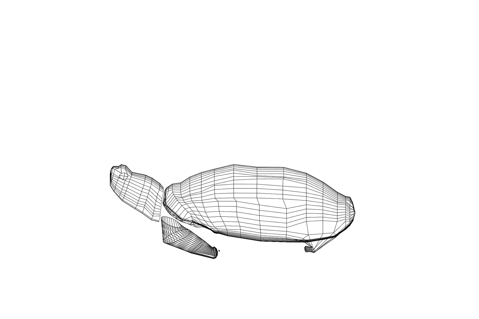 Turtle OBJ 3D Model - TurboSquid 2230817