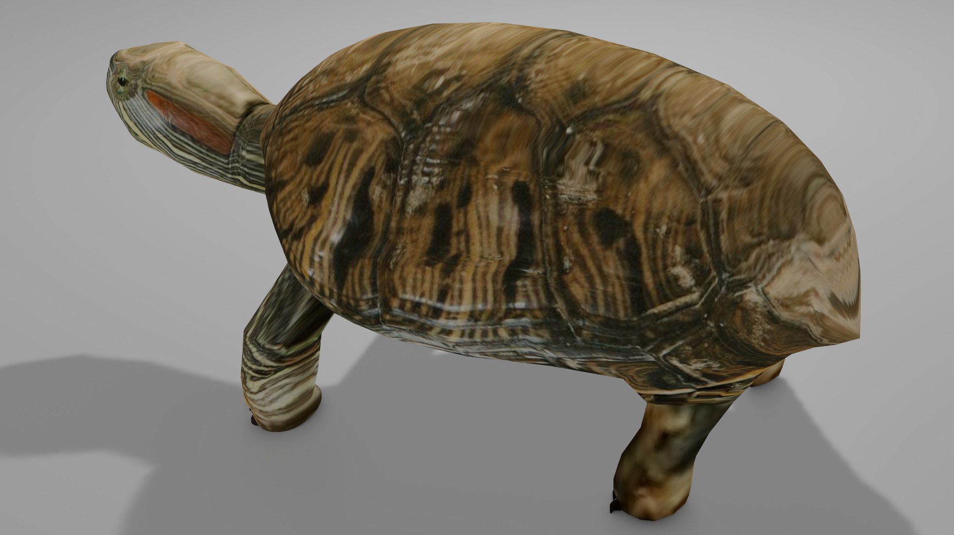 Turtle OBJ 3D Model - TurboSquid 2230817