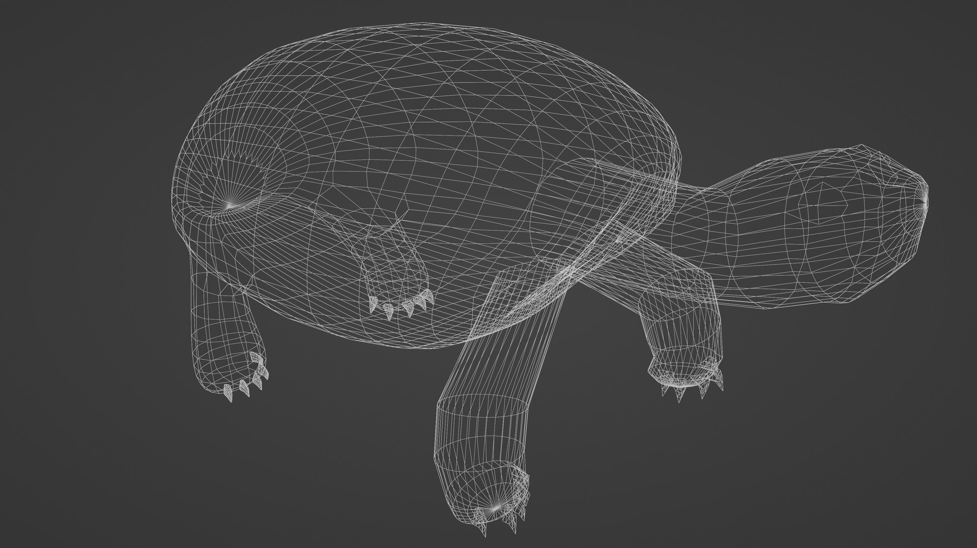 Turtle OBJ 3D Model - TurboSquid 2230817
