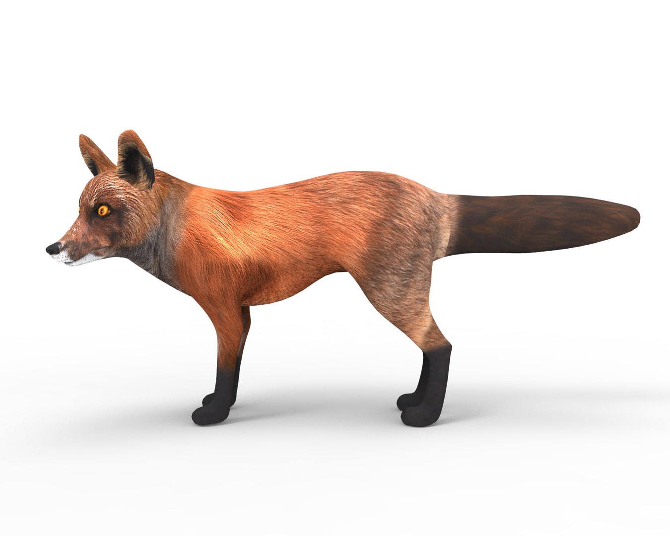 3D Model Fox Rigged - TurboSquid 1206369