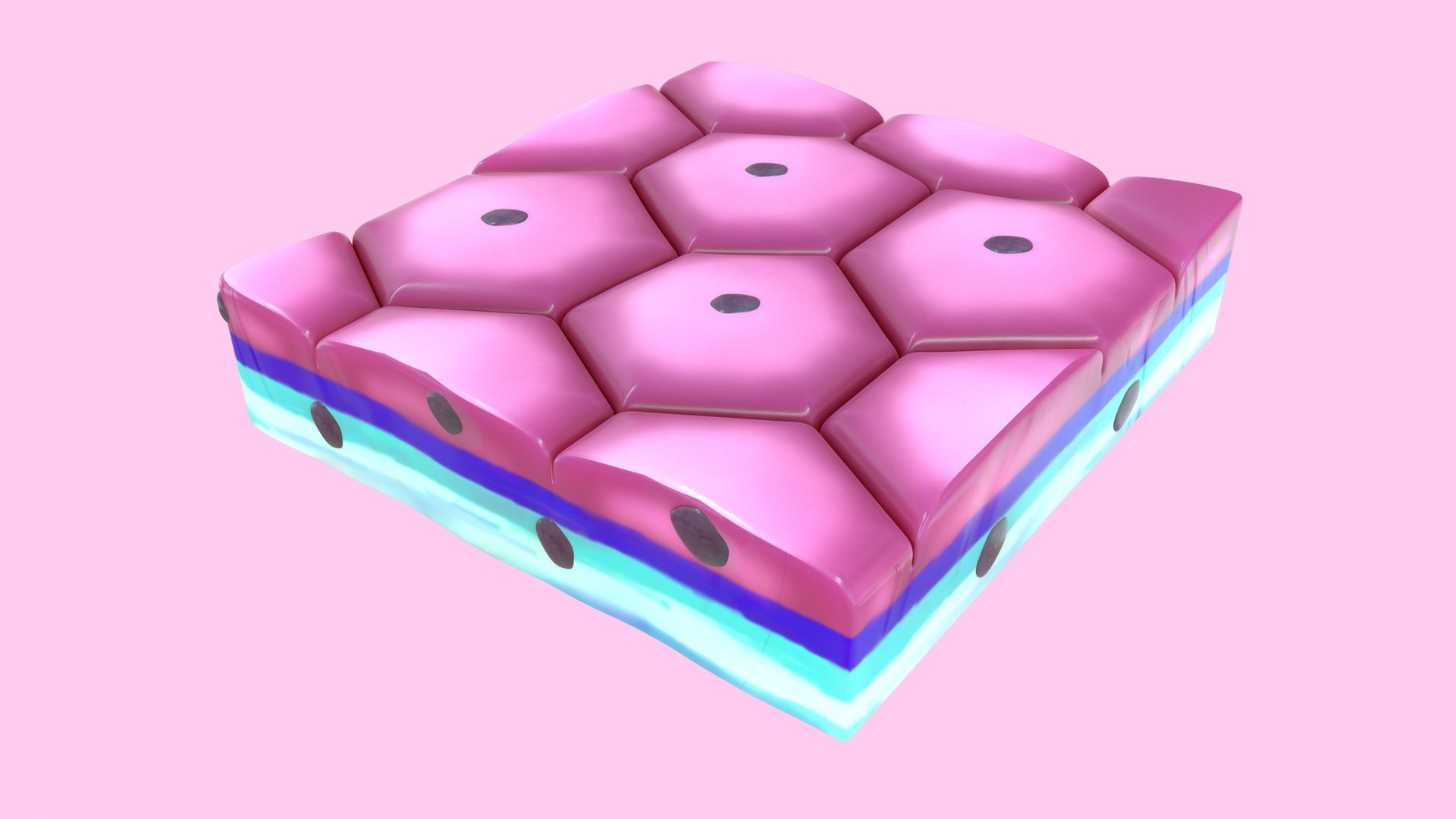 Simple Squamous Epithelium Model - TurboSquid 2187107