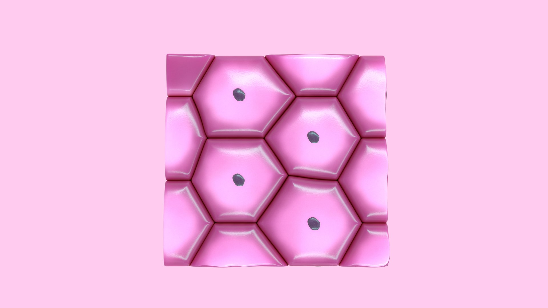 Simple Squamous Epithelium Model - TurboSquid 2187107