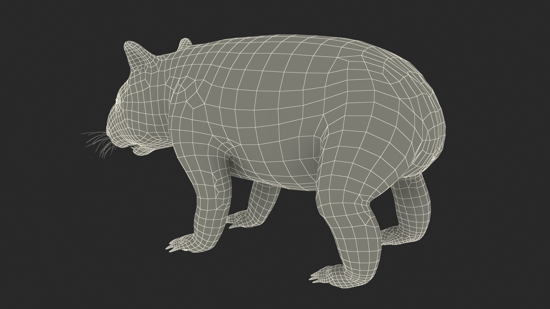 Grey Wombat Fur 3D - TurboSquid 2097738