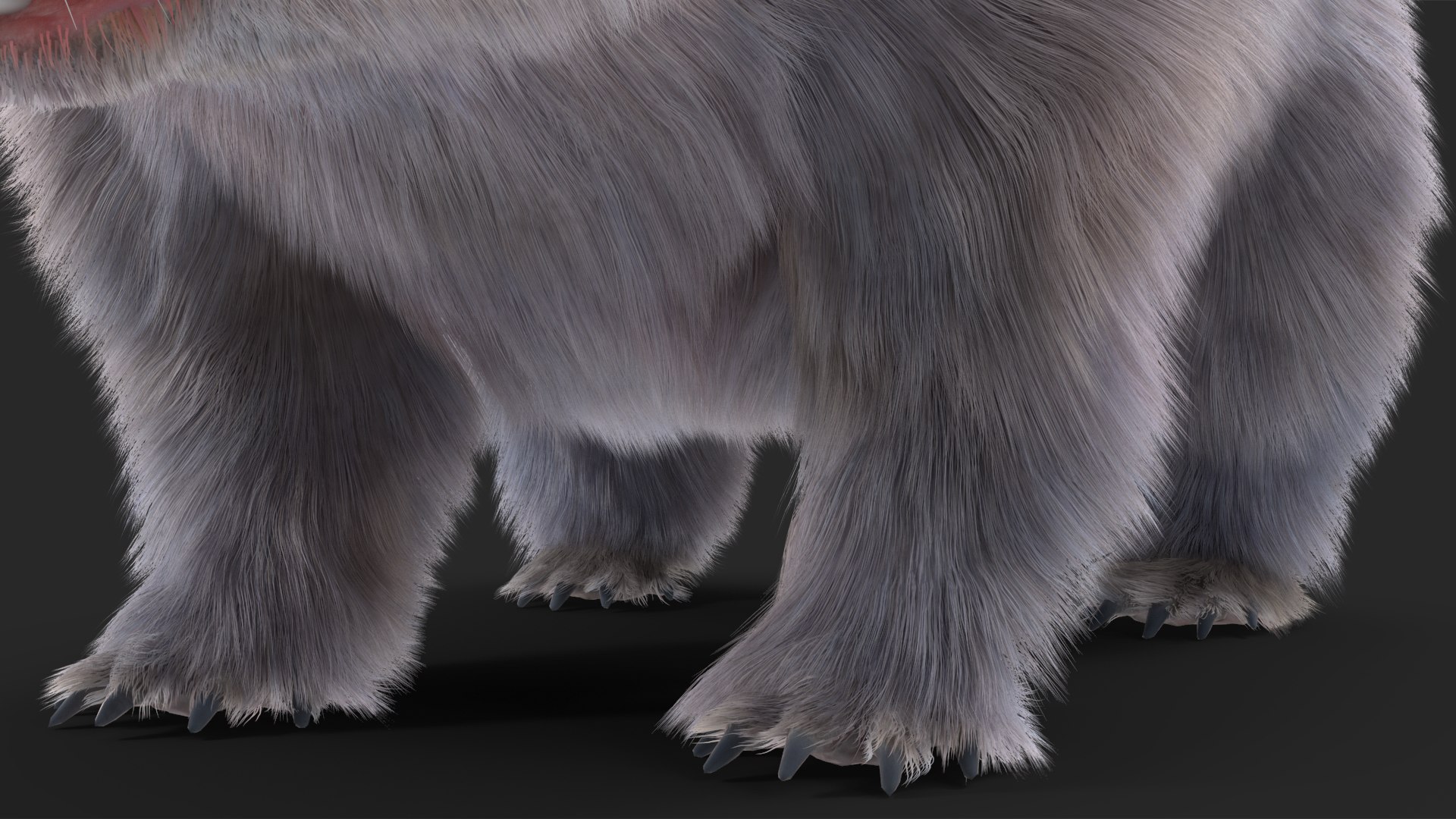 Grey Wombat Fur 3D - TurboSquid 2097738