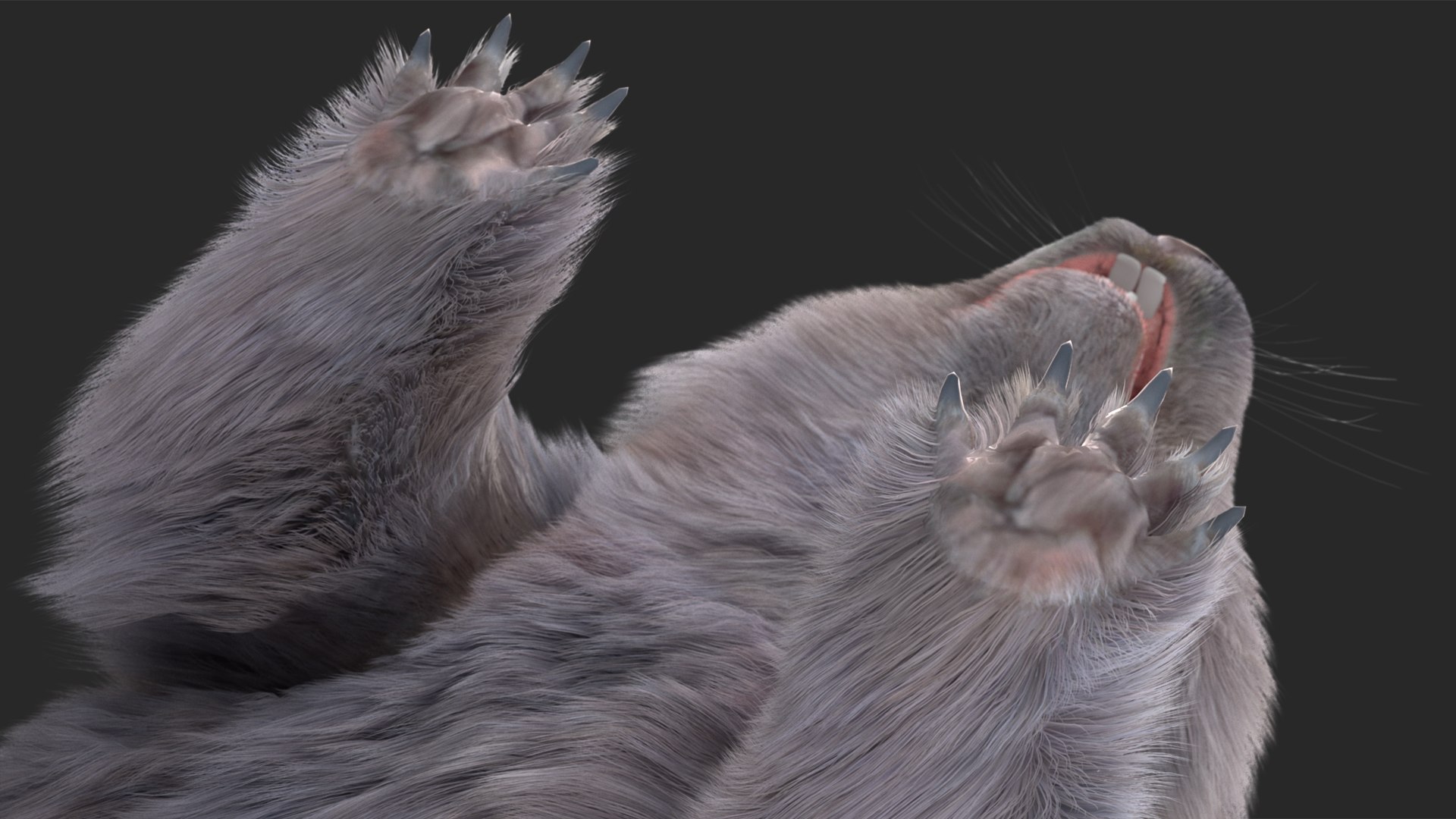 Grey Wombat Fur 3D - TurboSquid 2097738