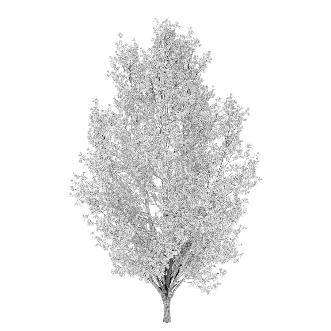 3D Autumn Pear Tree01 - TurboSquid 2280729