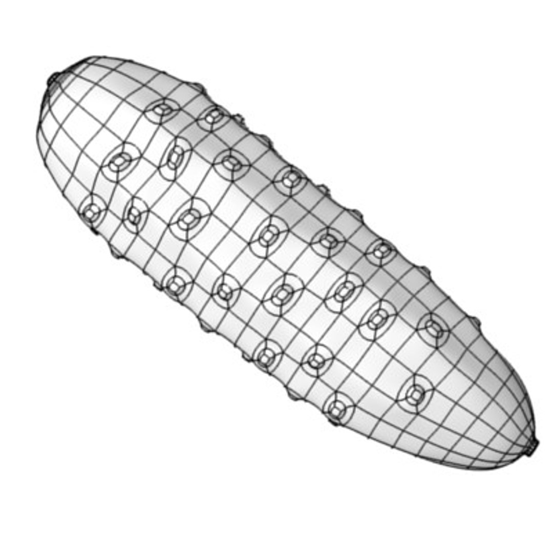 3d Model Cucumber