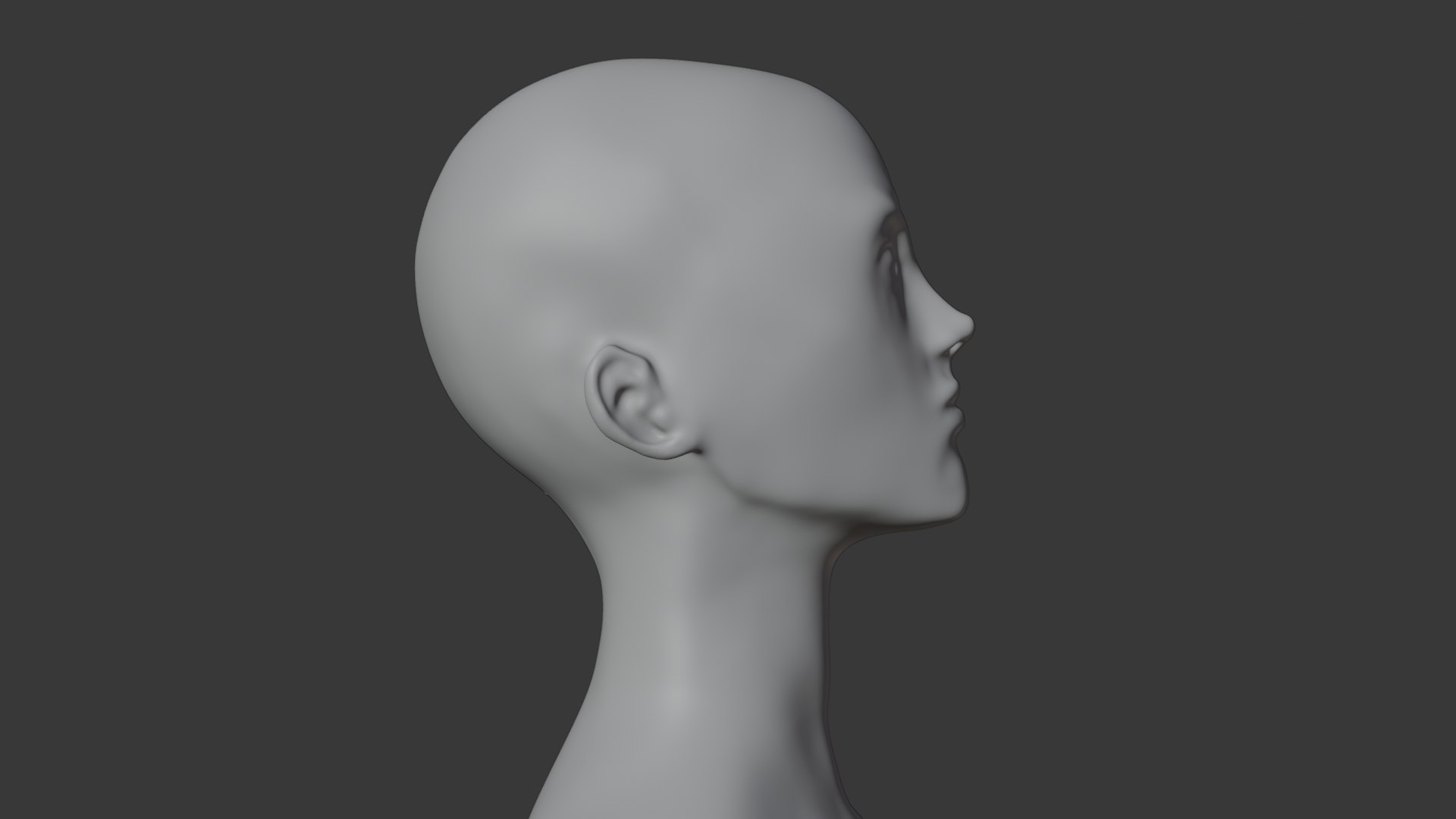 Female Head Base Mesh Model - TurboSquid 2288105