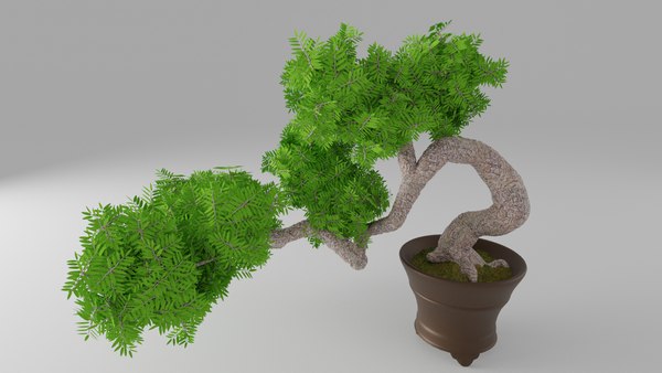 Bonsai 3D model - TurboSquid 1683708