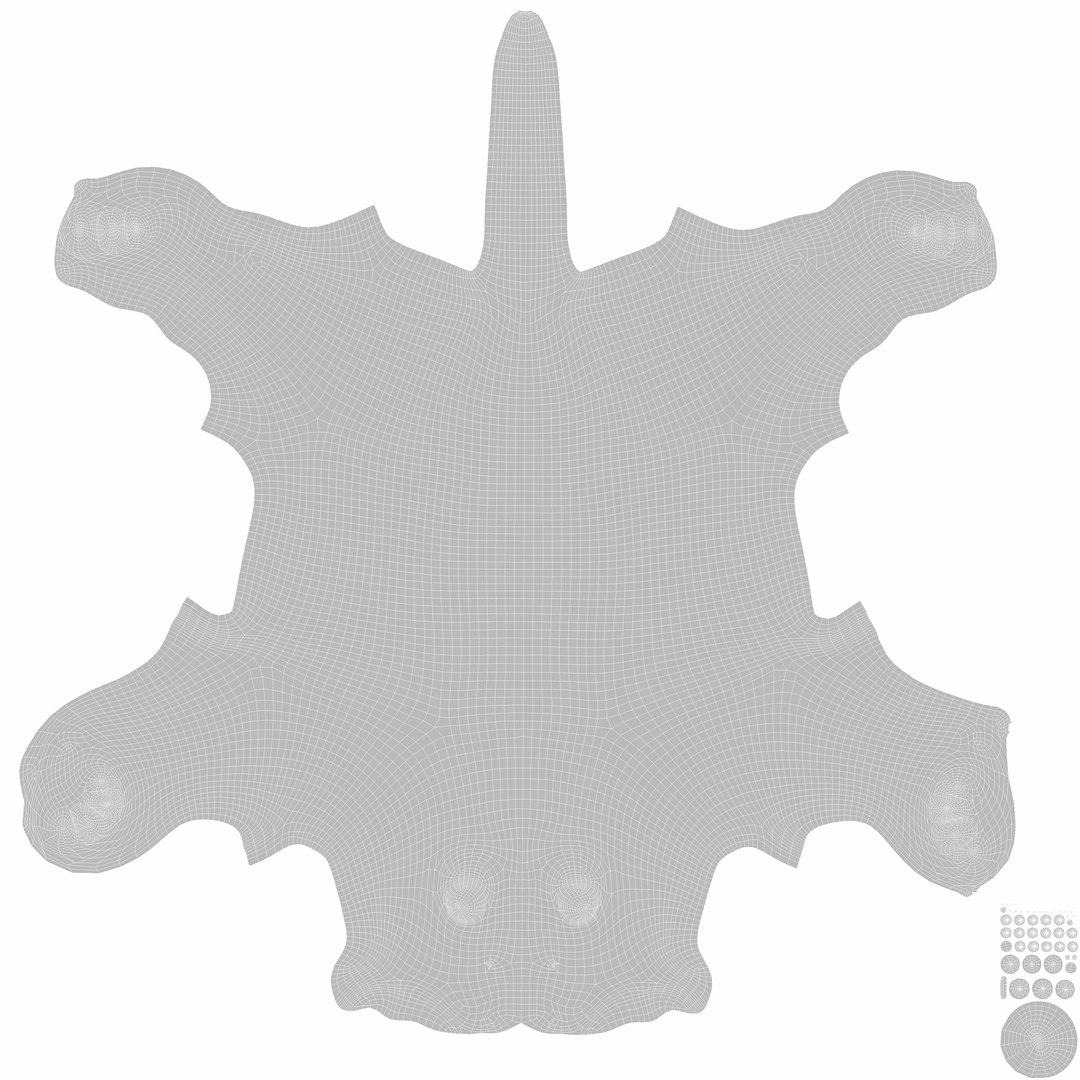 Realistic Lion Model - TurboSquid 2097864