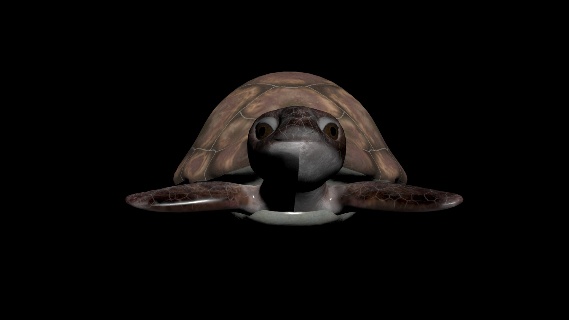 3D Cartoon Sea Turtle - TurboSquid 2104720