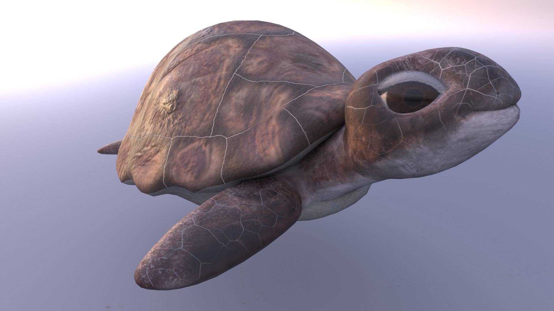 3D Cartoon Sea Turtle - TurboSquid 2104720