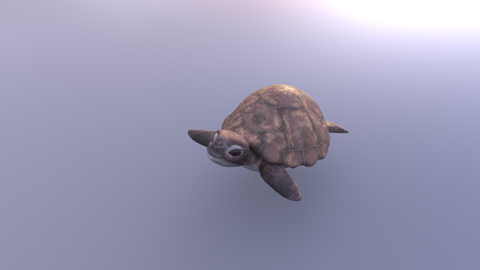 3D Cartoon Sea Turtle - TurboSquid 2104720