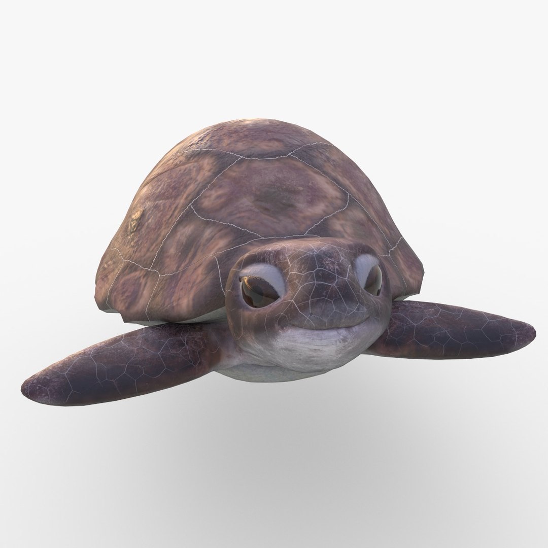3D Cartoon Sea Turtle - TurboSquid 2104720