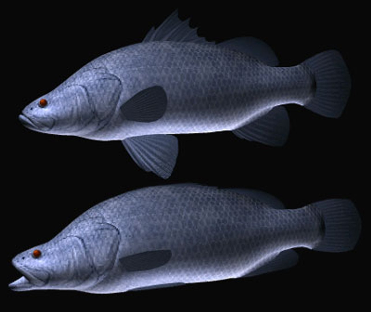 3ds Max Japanese Akame