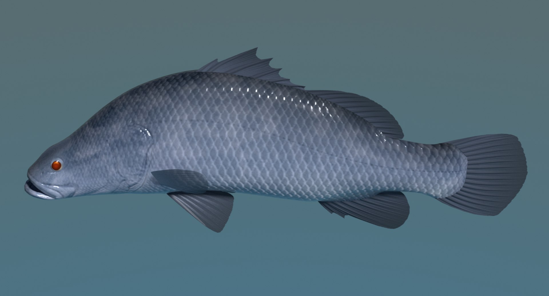 3ds Max Japanese Akame
