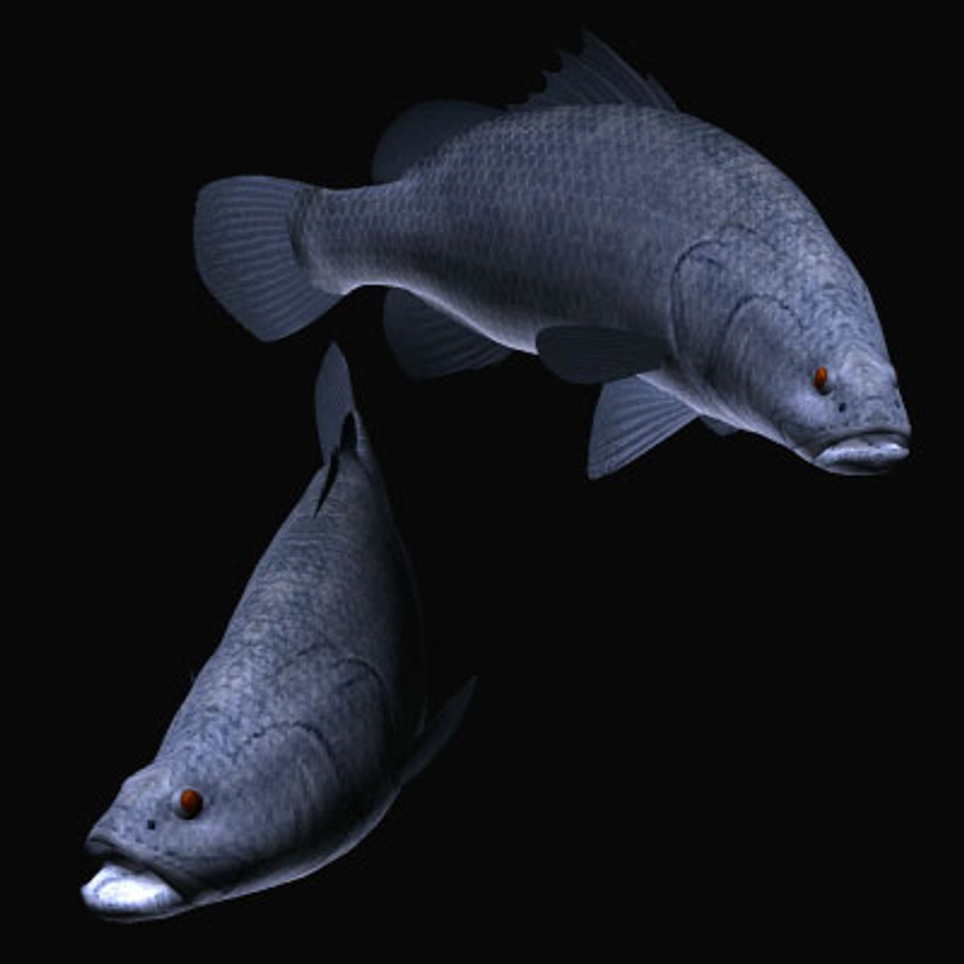 3ds Max Japanese Akame