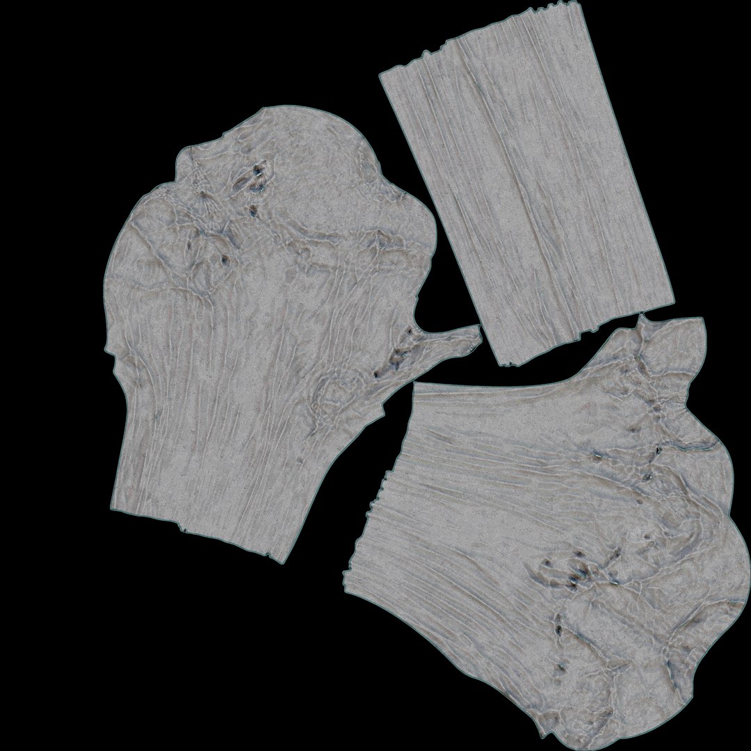 Human Thigh Bone Femur C4d