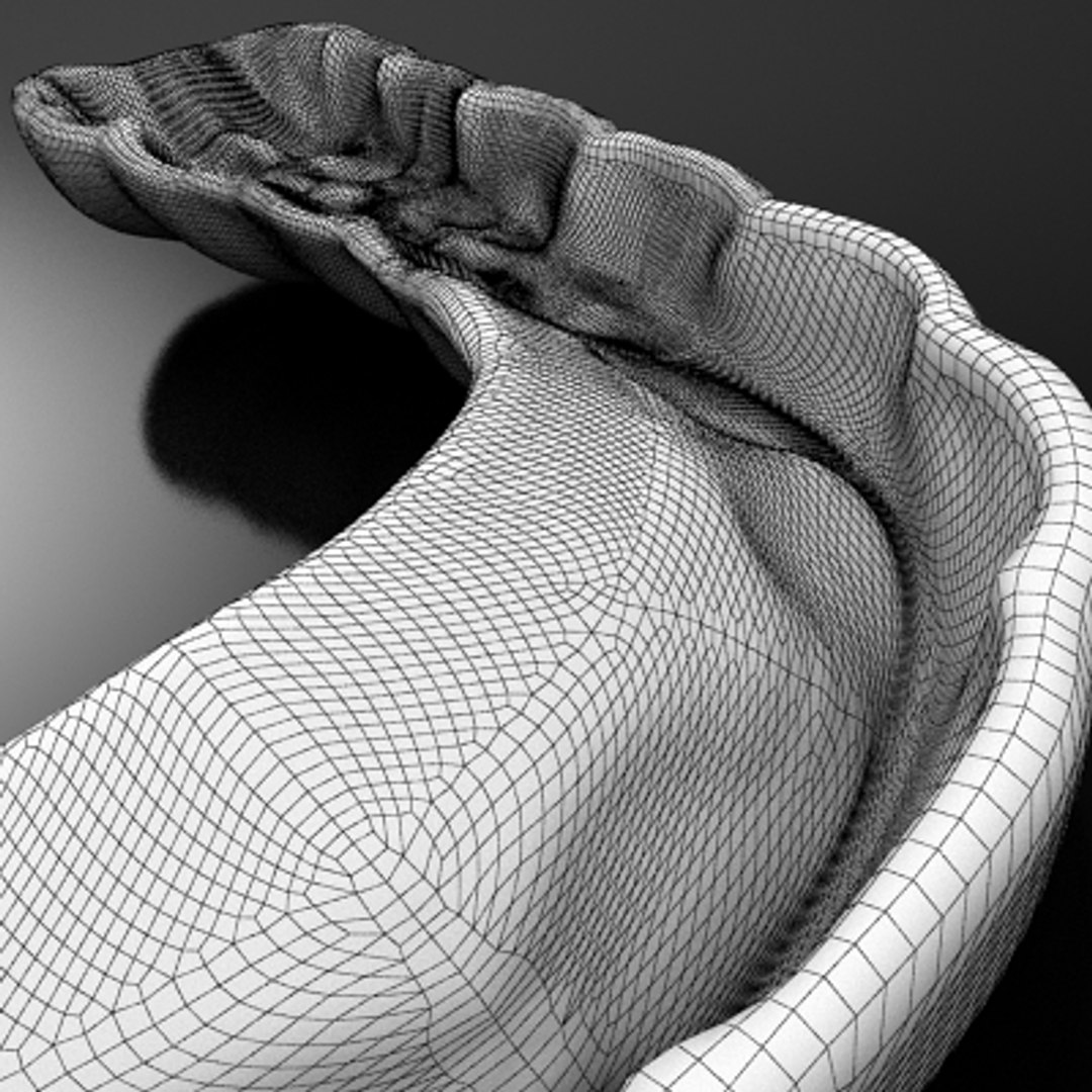 Bite Splint 3d Model