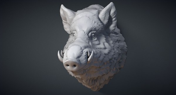 wild boar head obj