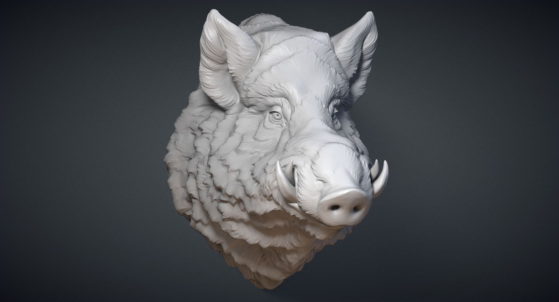 Wild Boar Head Obj