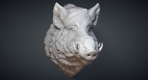 wild boar head obj
