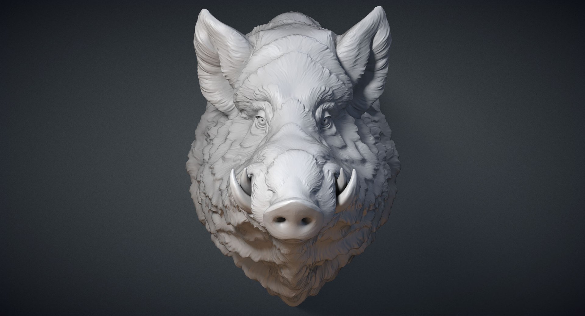 Wild Boar Head Obj