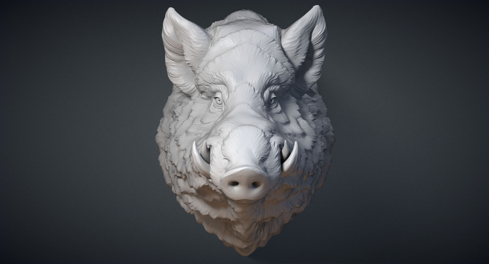 wild boar head obj