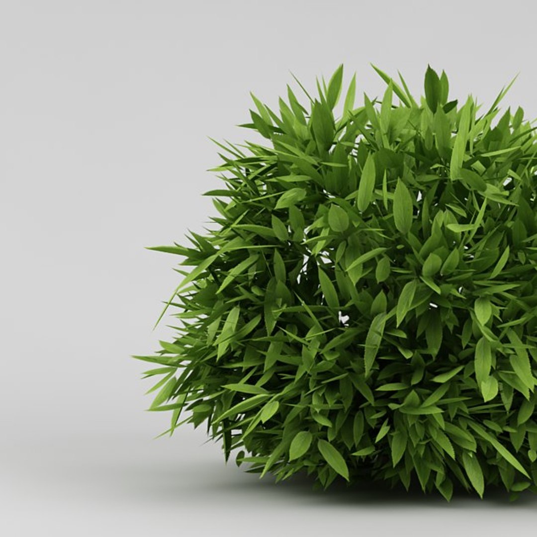 3d model small plant