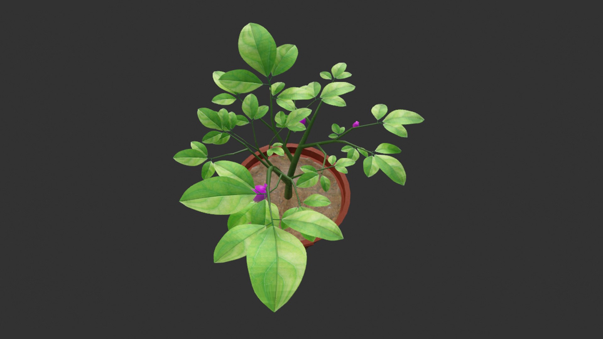 3D Tree Tubs Model Lemon Tree Tubs Small Tree Tubs Model - TurboSquid ...