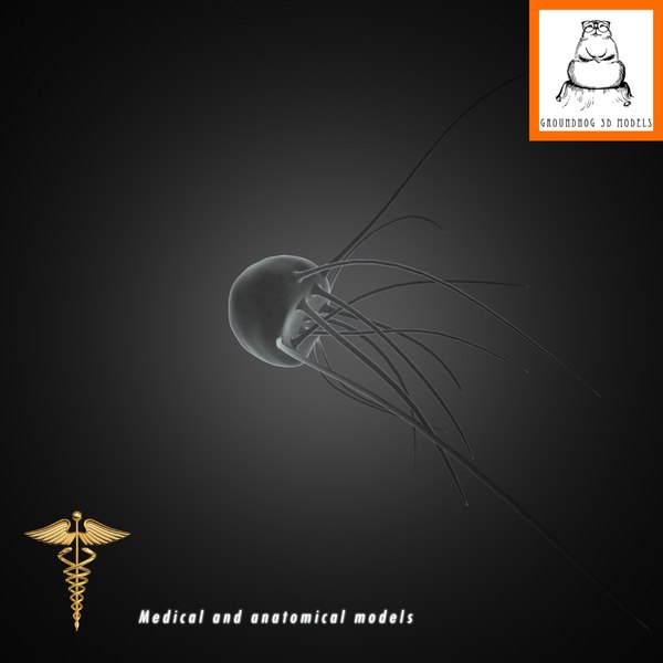 max bacteria microscopic