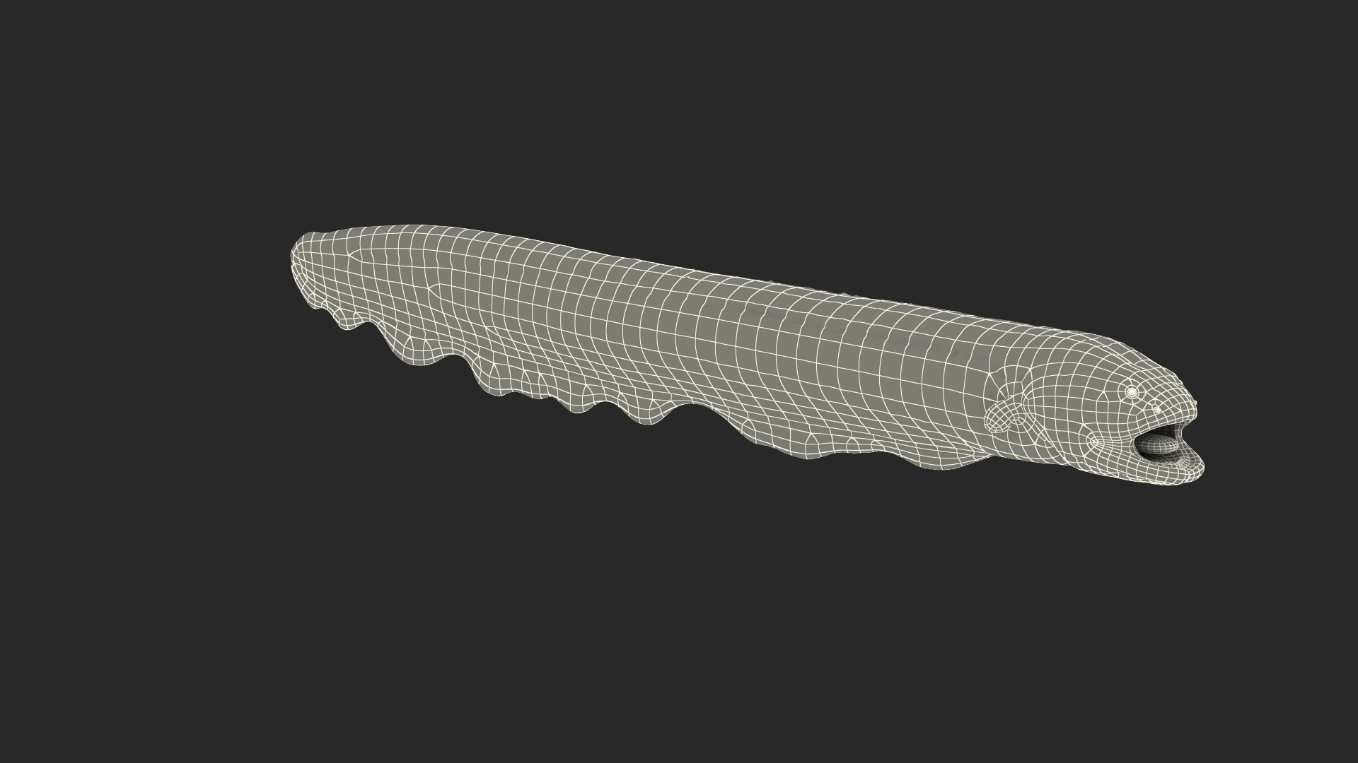 Electric Eel Rigged Animal Model - TurboSquid 1492077