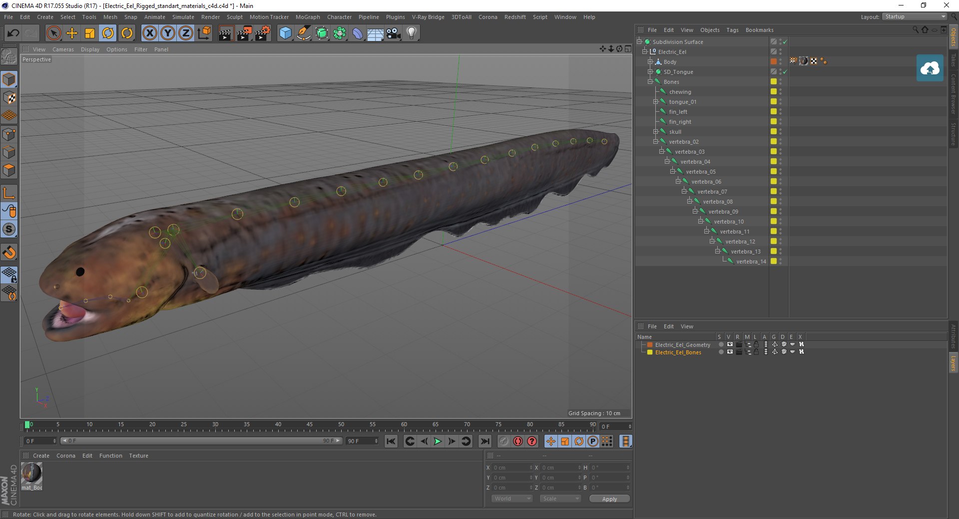 Electric Eel Rigged Animal Model - TurboSquid 1492077
