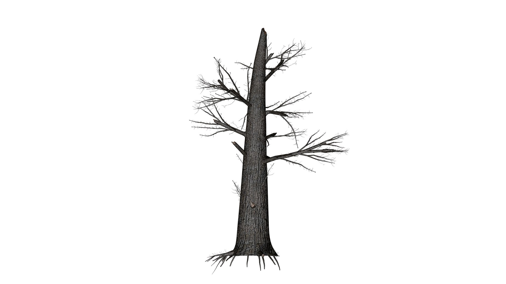 Burnt Tree - 03 - 3D Model - TurboSquid 2371820
