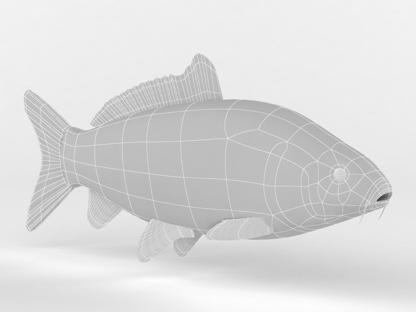 3D carp fish - TurboSquid 1366553