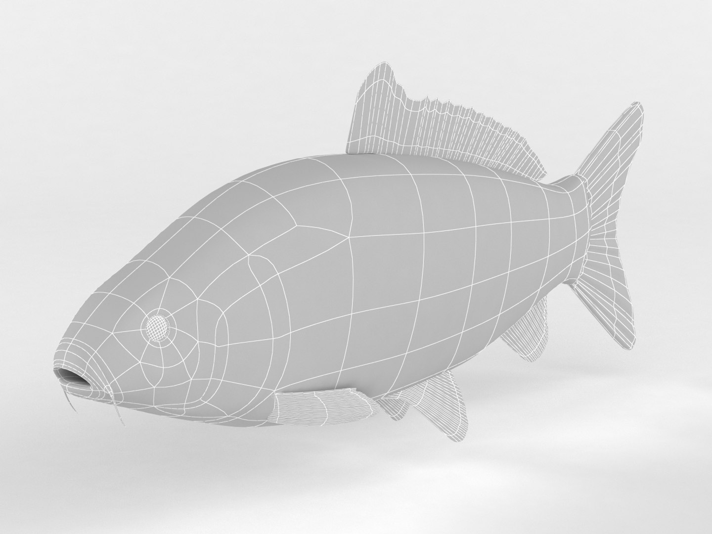 3D carp fish - TurboSquid 1366553