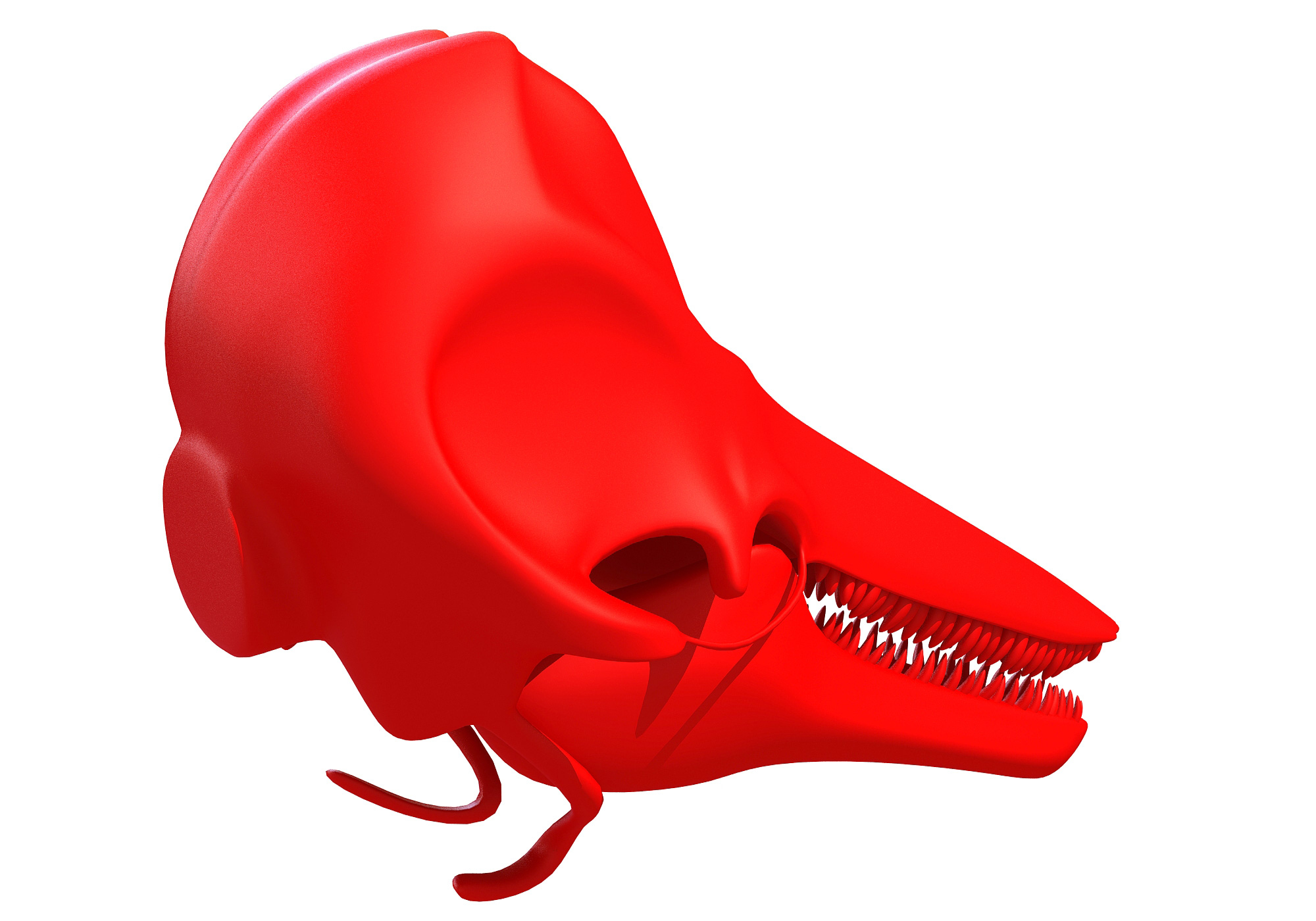 3d printable dolphin skull printing
