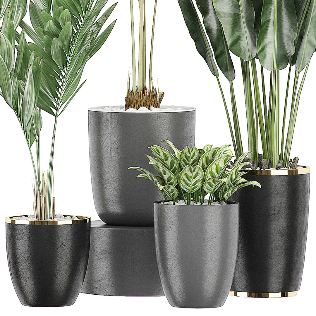 3D Flower Pack 113 Model - TurboSquid 1632330