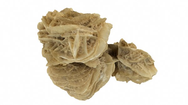 Desert Rose 3D model - TurboSquid 1790560