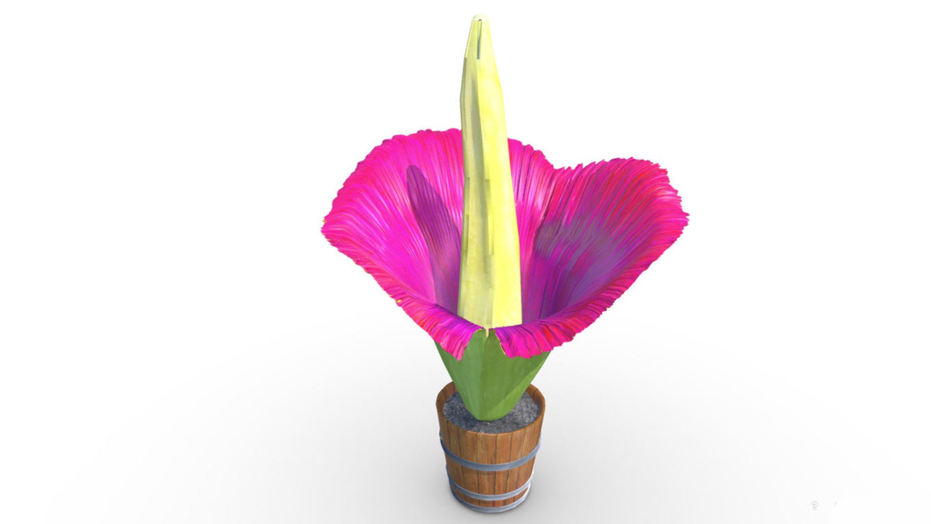 Corpse cartoon flower 3D - TurboSquid 2069412