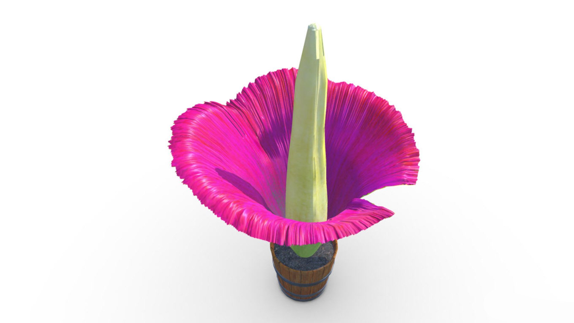 Corpse cartoon flower 3D - TurboSquid 2069412