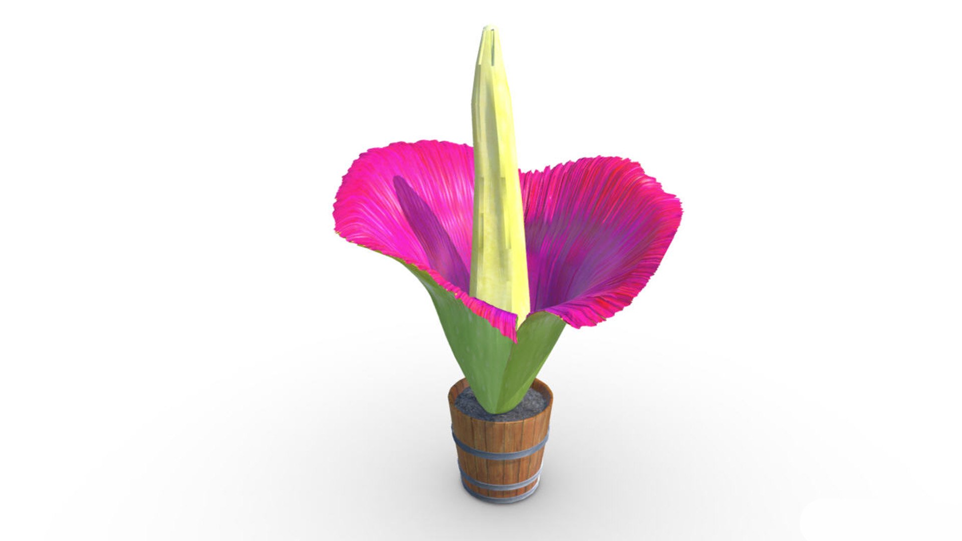 Corpse cartoon flower 3D - TurboSquid 2069412