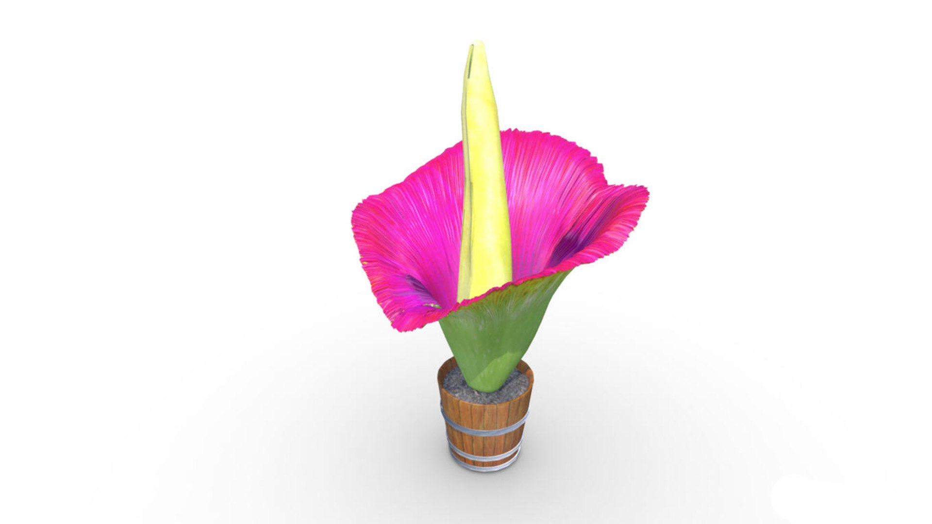 Corpse cartoon flower 3D - TurboSquid 2069412