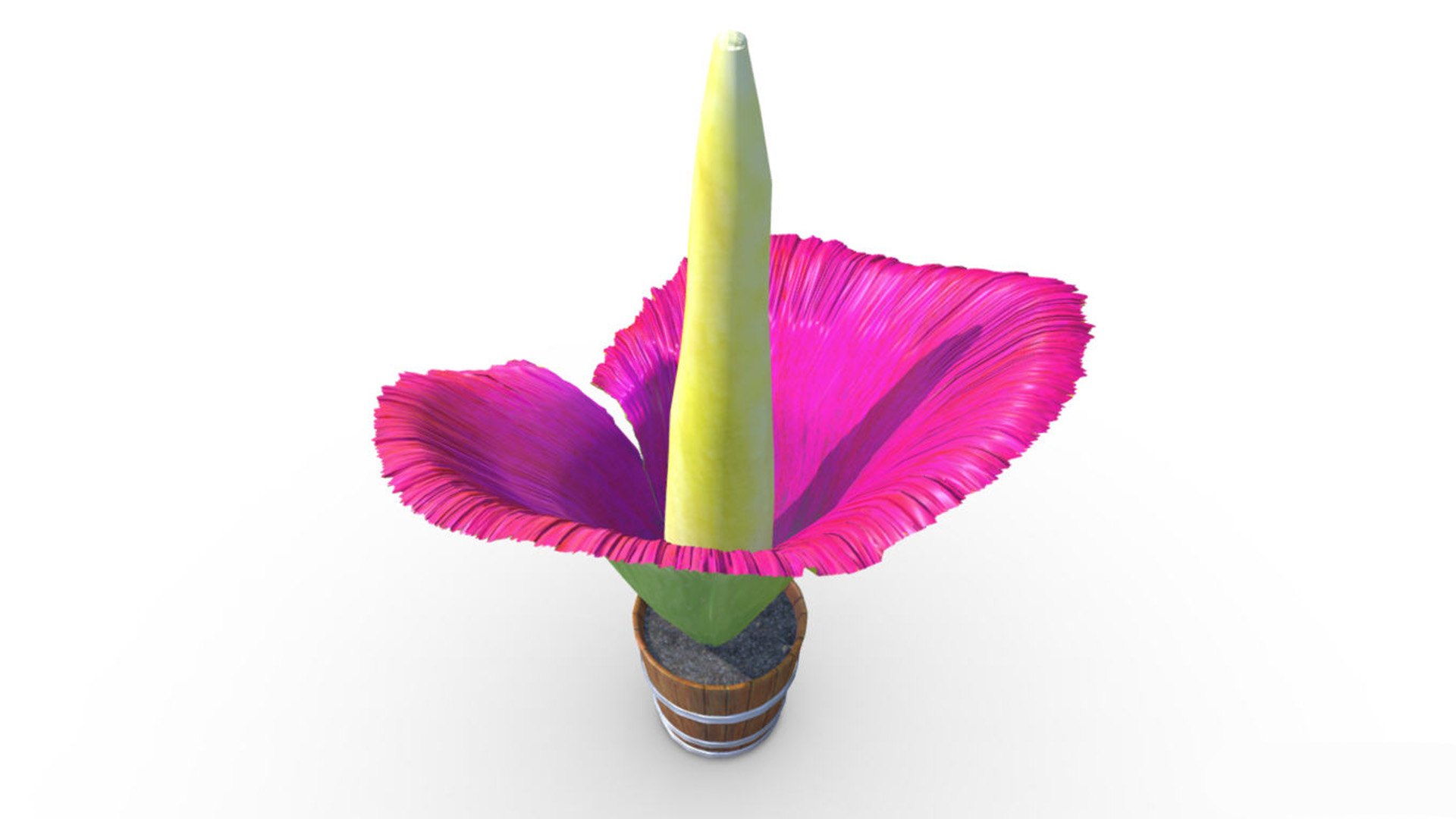 Corpse cartoon flower 3D - TurboSquid 2069412
