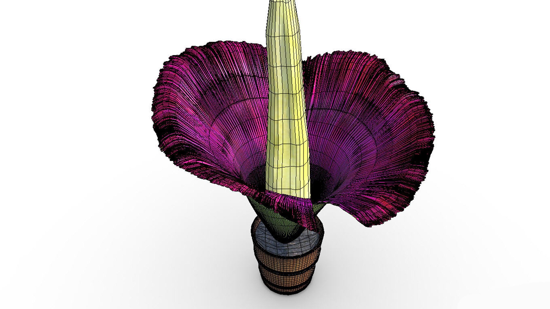 Corpse cartoon flower 3D - TurboSquid 2069412