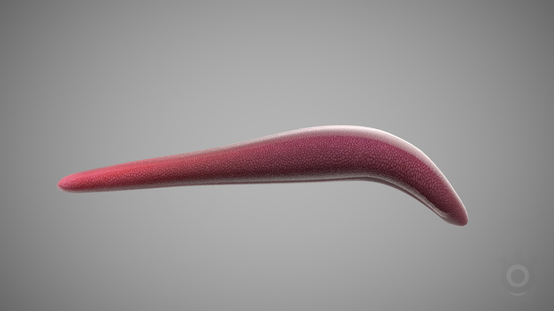 Tongue Monster 3D - TurboSquid 1334584