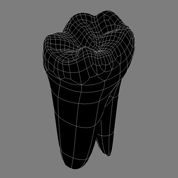 tooth lower molar 3d max